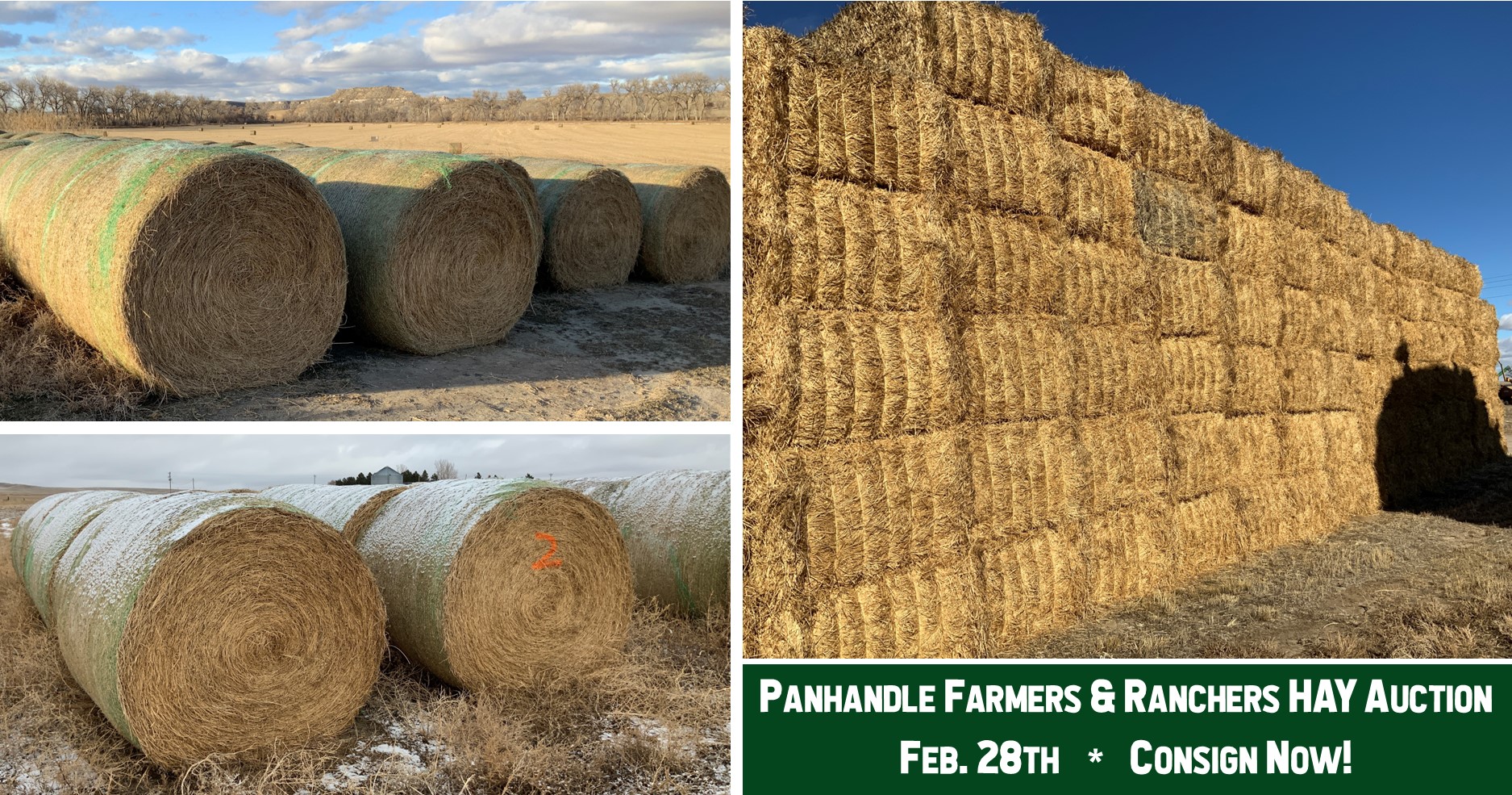 Panhandle Farmers & Ranchers Hay Auction 2023 • Kraupie's Real Estate ...
