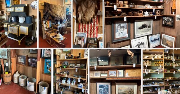 Poor Ol' Jerry's Boot Shop • Kraupie's Real Estate & Auctioneers